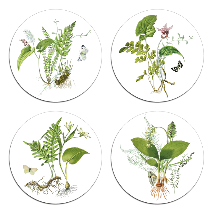 Forest Fern Coasters- Tableware - Club Matters